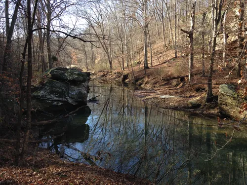 Best Hikes and Trails in Bell Smith Springs Natural Landmark | AllTrails