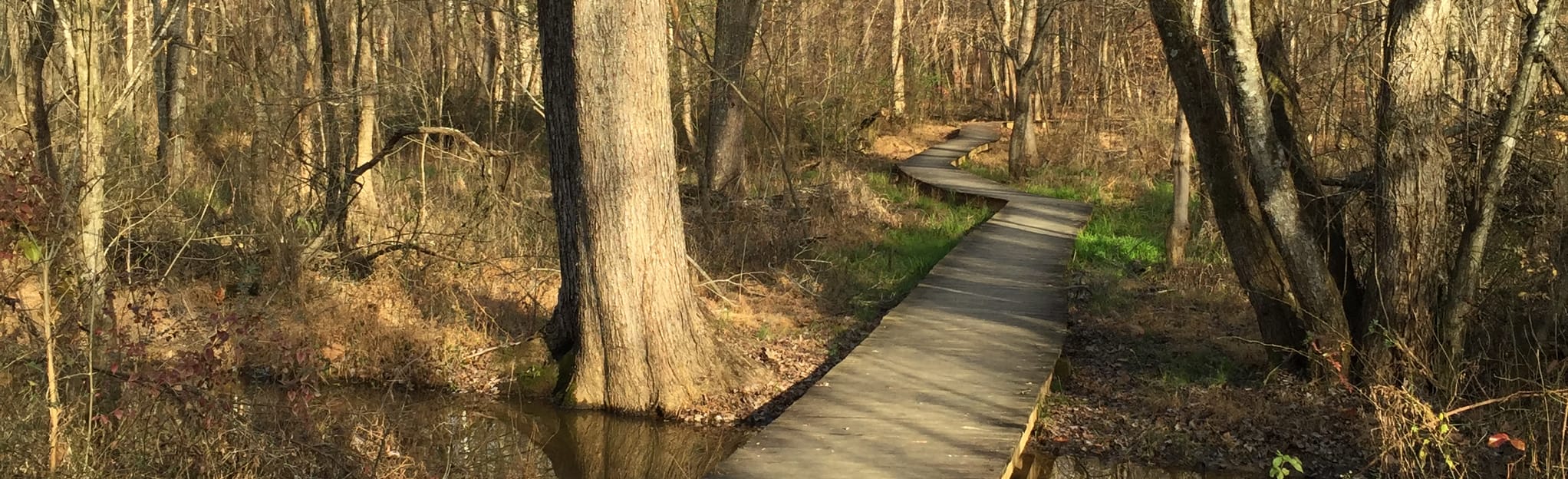 Nathaniel Greene Trail, North Carolina - 788 Reviews, Map | AllTrails