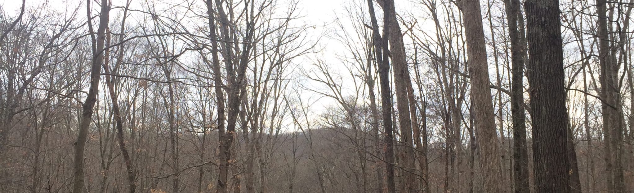 Shaw Lake Loop Trail, Indiana - 84 Reviews, Map | AllTrails