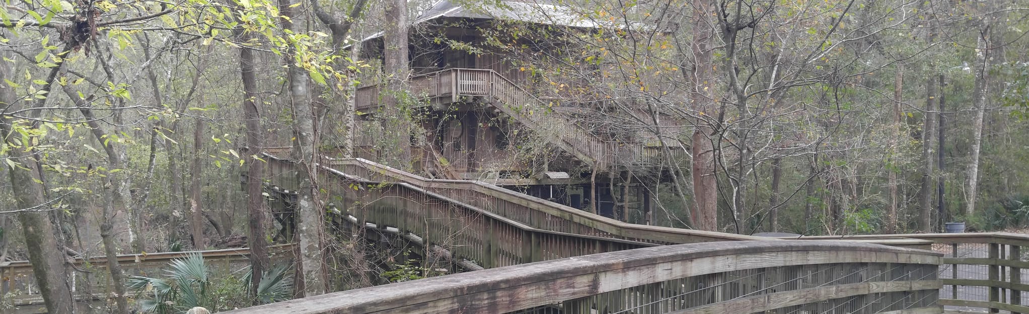 Moon Seed Loop, Louisiana - 330 Reviews, Map | AllTrails