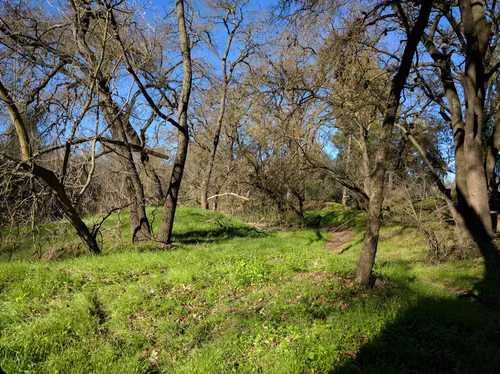 Best Hikes and Trails in Modesto | AllTrails