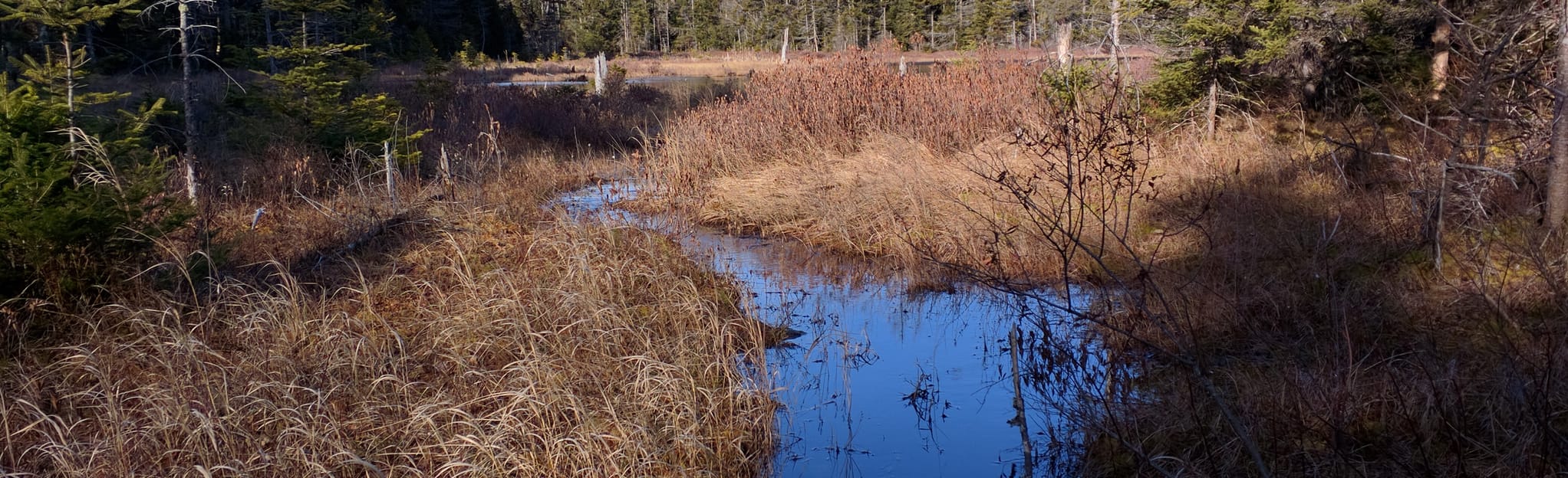Camp, East, and Pond Trail Loop, Vermont - 13 Reviews, Map | AllTrails