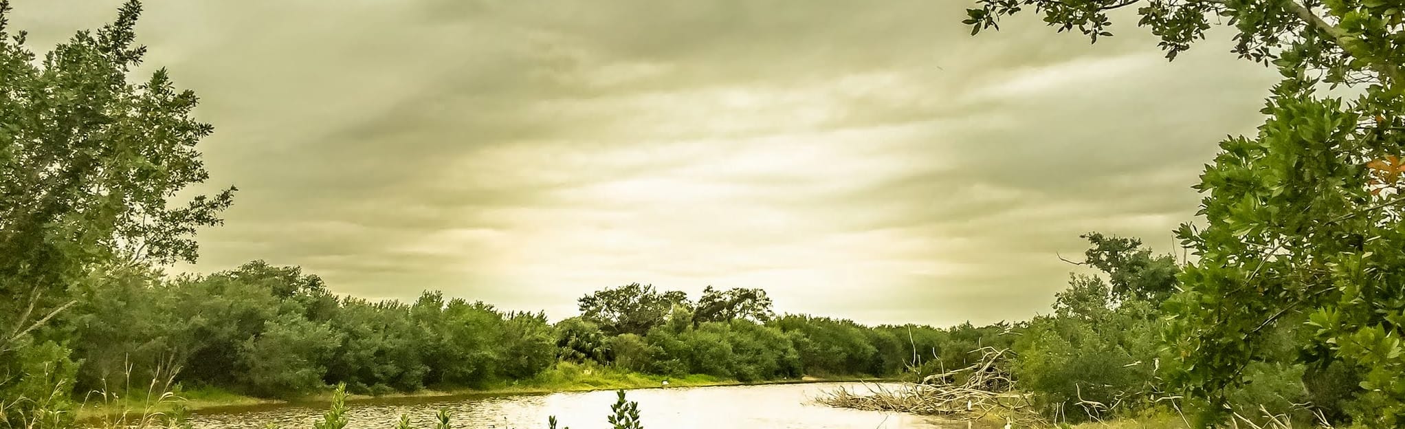 Eco Pond Trail: 136 Fotos - Flórida | AllTrails