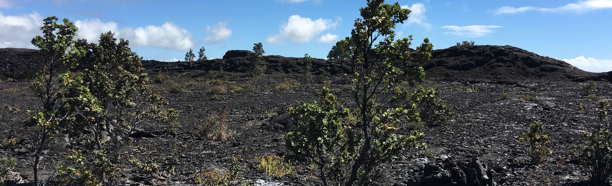 Mauna Ulu Eruption Trail, Hawaii, Hawaii - 141 Reviews, Map | AllTrails