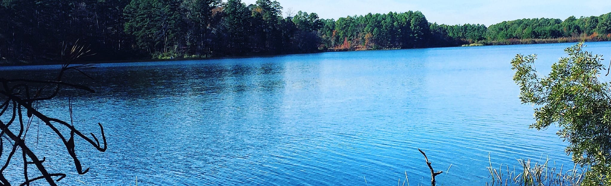 Tyler State Park A, B, C, and D Loop, Texas - 418 Reviews, Map | AllTrails