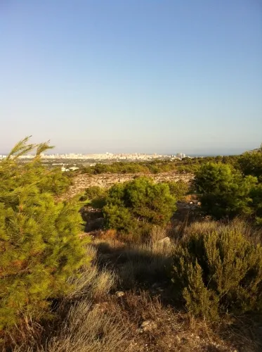 Best Hikes and Trails in Parque Forestal Monte Orgegia | AllTrails