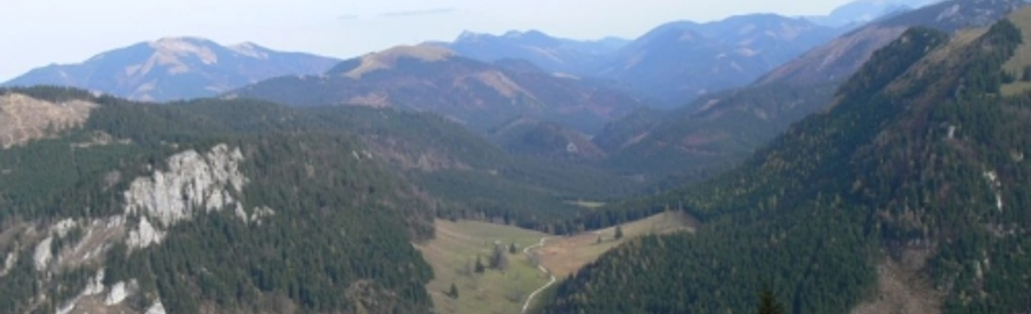 Tonion, Halterhütte Ochsenboden und Weißalm Rundweg: 3 Reviews, Map ...