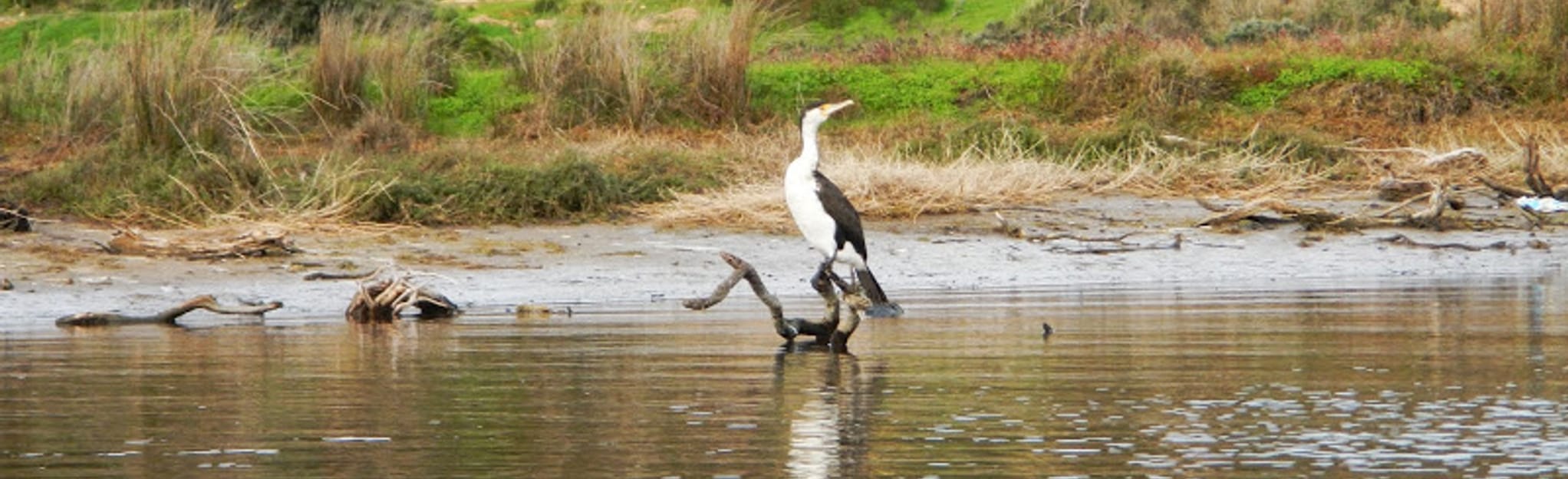 Waitpinga Creek Paddle, South Australia, Australia - Map, Guide | AllTrails