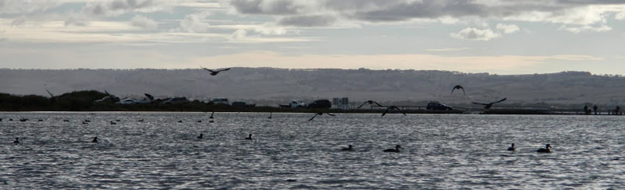 Beacon 19 Boat Ramp Paddle: 22 Fotos - South Australia, Australien ...