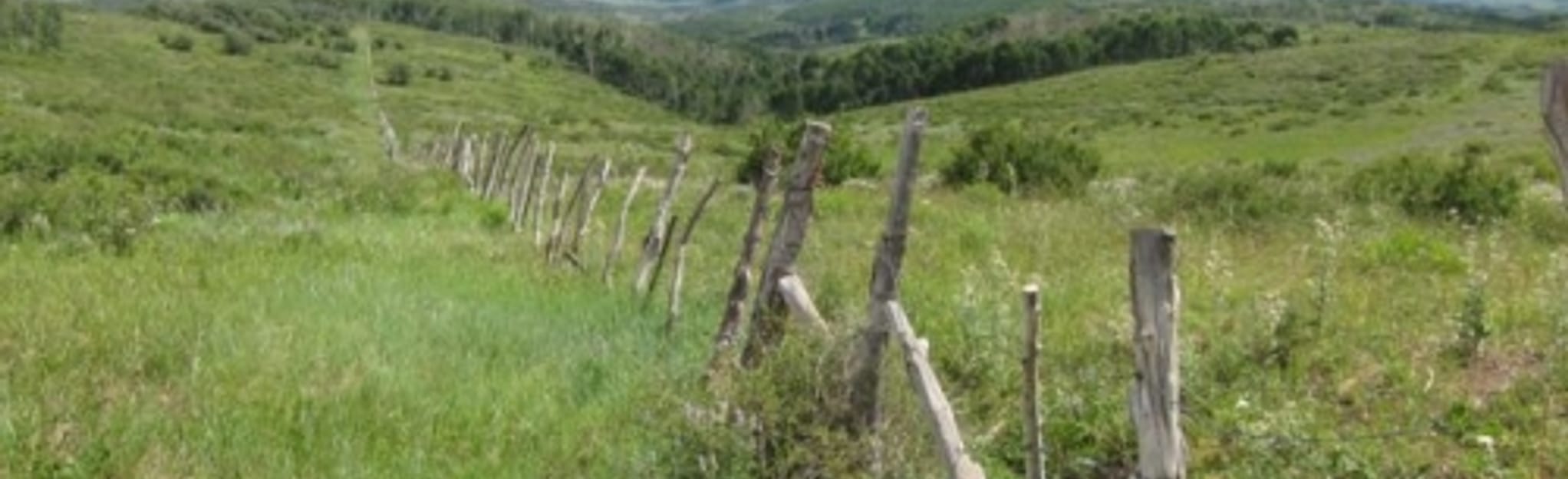 Uncompahgre Plateau OHV Trail: 4 Reviews, Map - Colorado | AllTrails