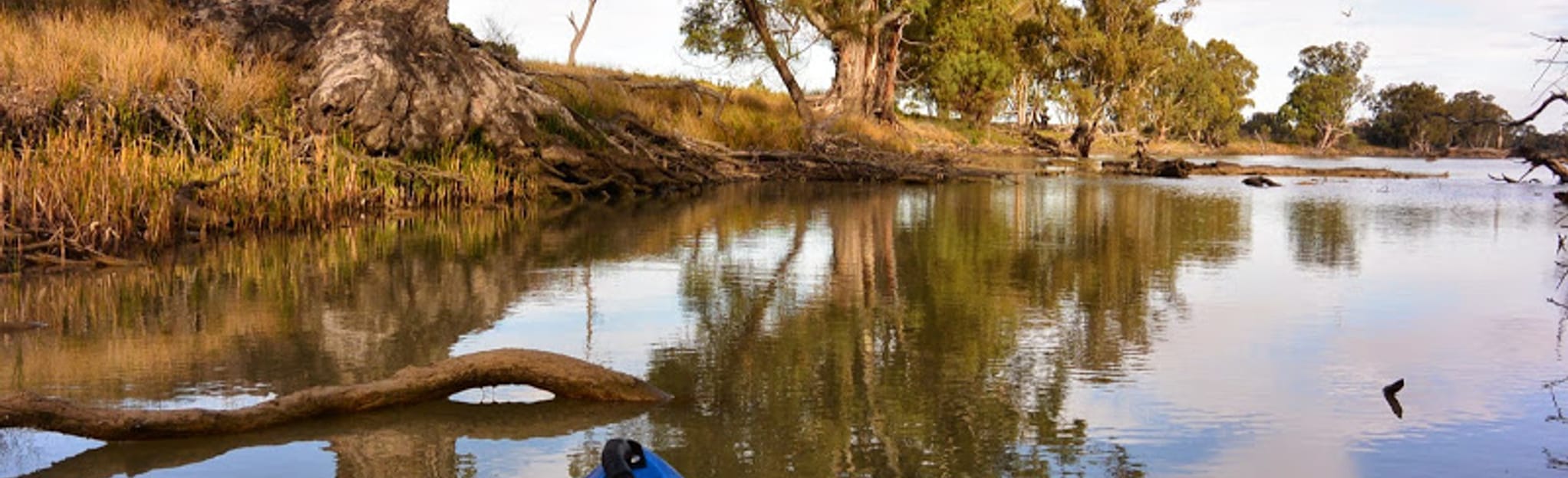 Murray River Paddle: Swan Reach Pumping Station: 14 Fotos - South ...