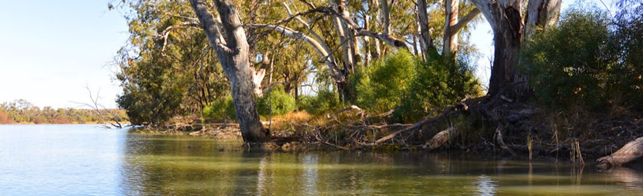 Murray River Paddle: Roonka Conservation Park, South Australia ...