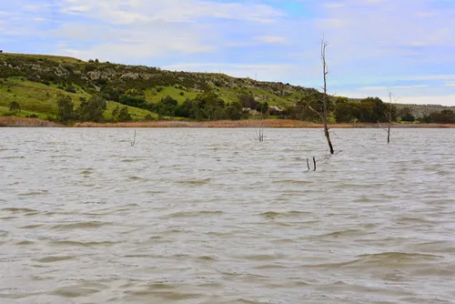 Best Hikes and Trails in Lake Carlet | AllTrails