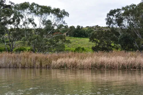 Best Hikes and Trails in Lake Carlet | AllTrails