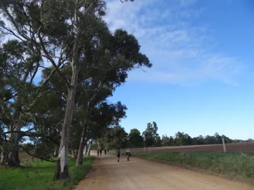 Best Hikes and Trails in Laura | AllTrails