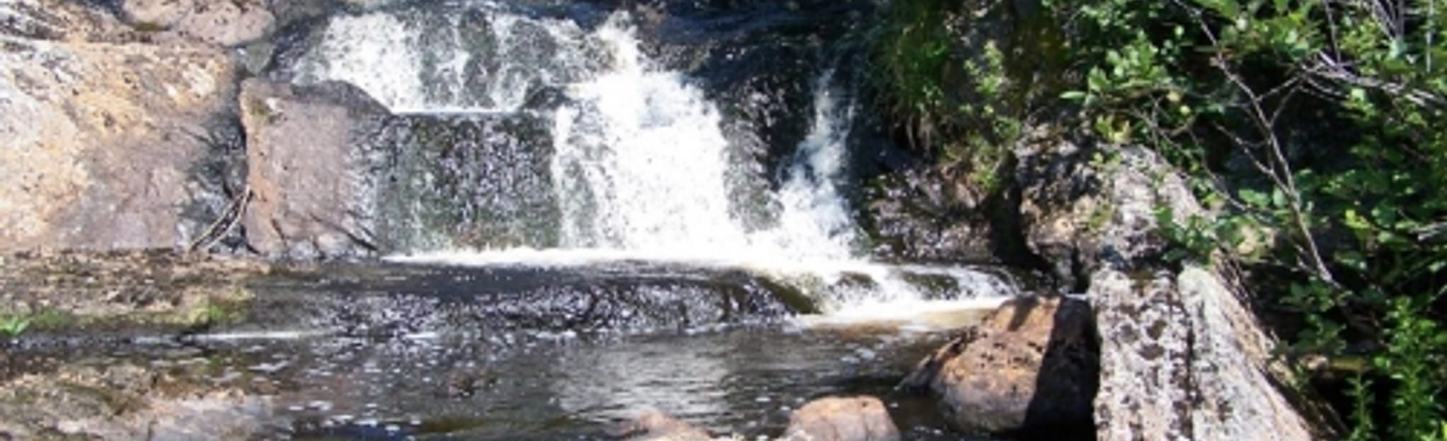 Pocologan Falls, New Brunswick, Canada - 4 Reviews, Map | AllTrails