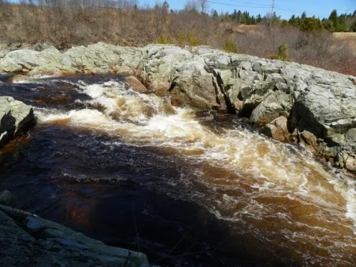 2023 Best River Trails in Pocologan | AllTrails