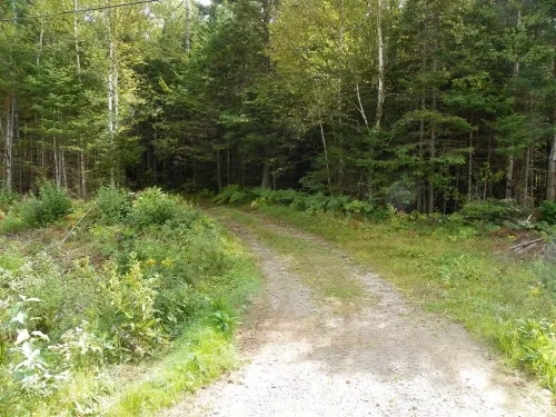 Best Waterfall Trails in Nackawic | AllTrails