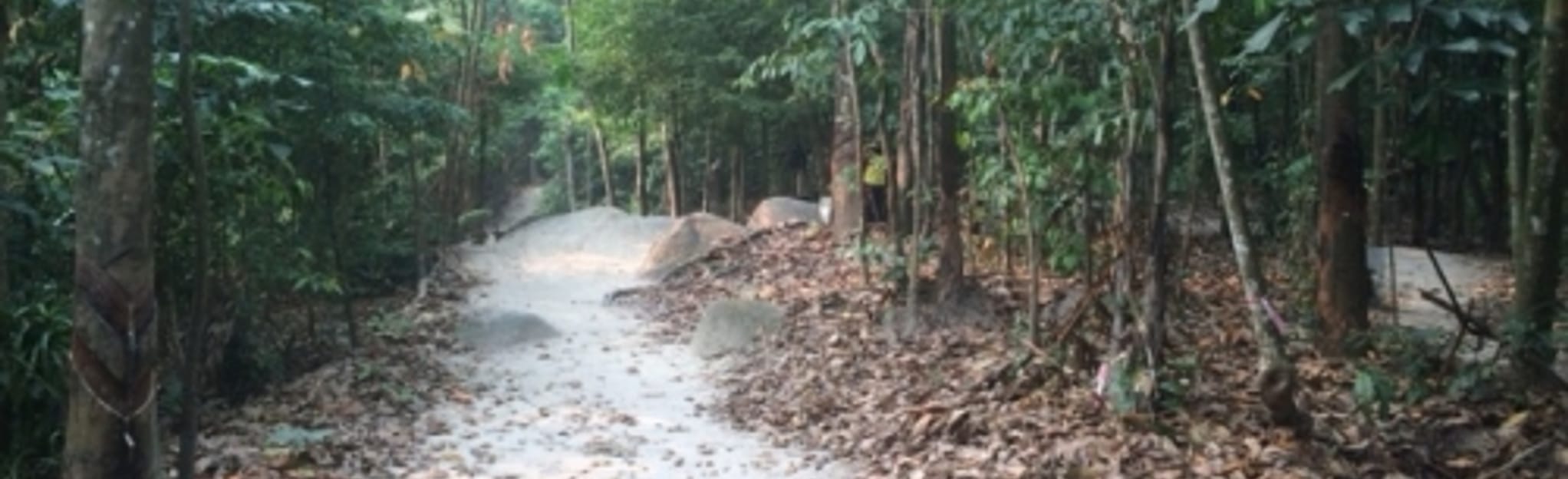 Bukit Kiara - Magic Carpet, 2K, Twin Peaks Loop - Kuala Lumpur ...