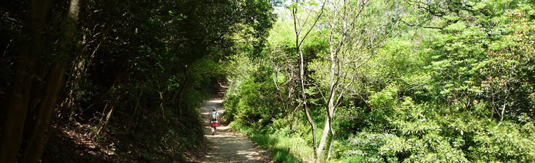 Mount Homan, Fukuoka, Japan - 17 Reviews, Map | AllTrails