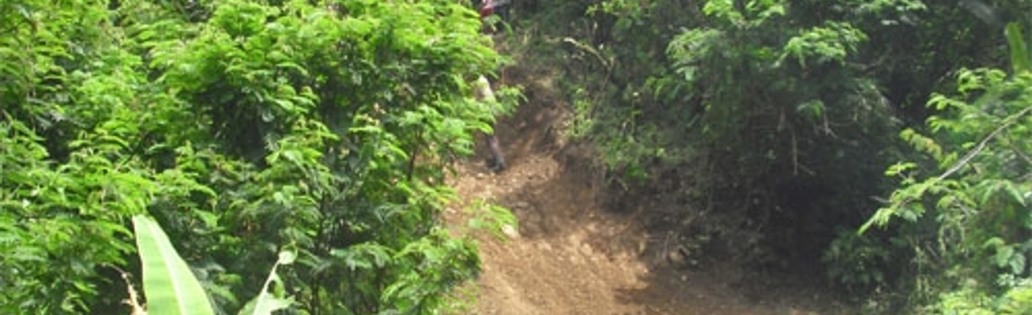 Tanjakan Langit Gunung Puntang, West Java, Indonesia - Map, Guide | AllTrails