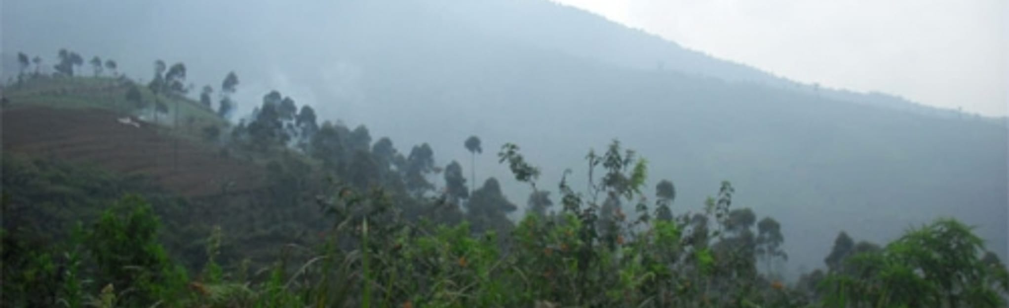 Malabar and the Great Peak, West Java, Indonesia - Map, Guide | AllTrails