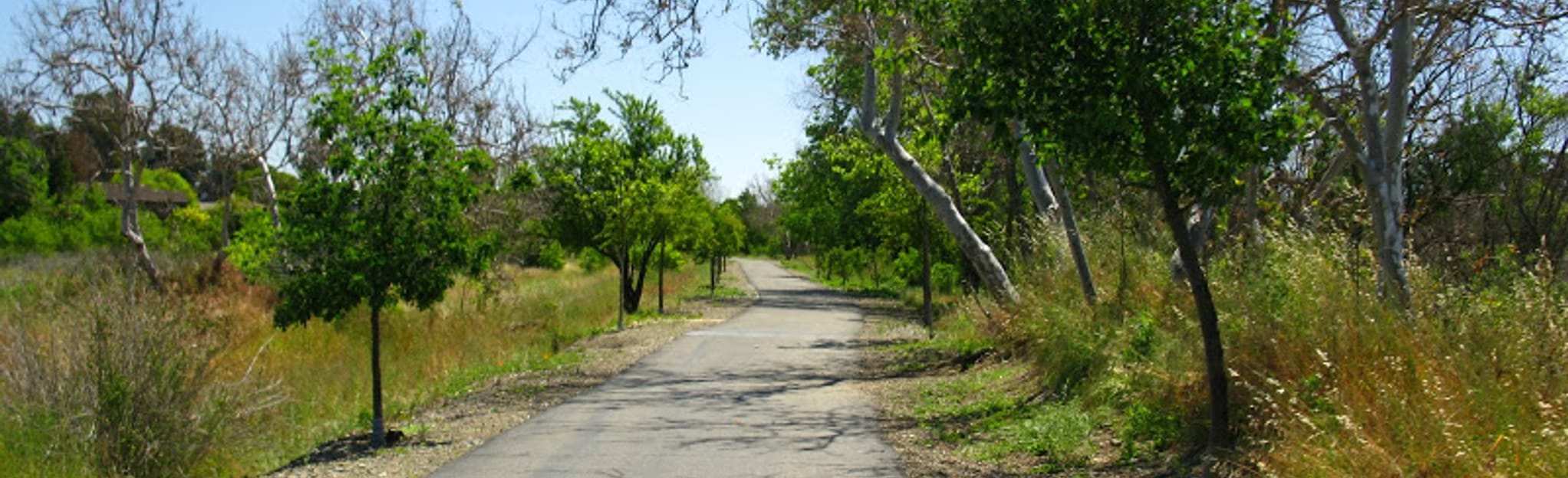 Arroyo Mocho Trail, California - 130 Reviews, Map | AllTrails