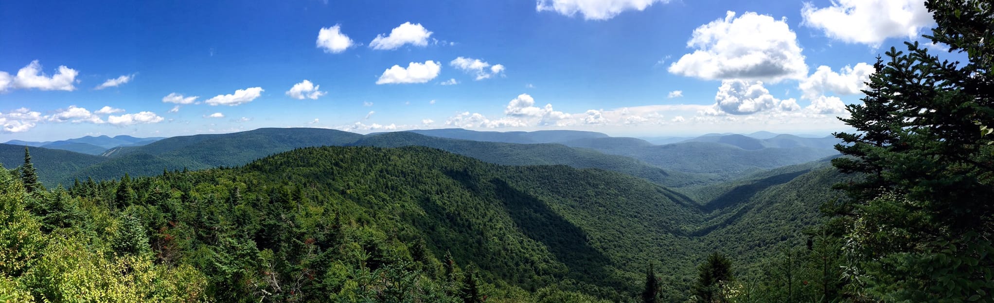West Kill Mountain to Buck Ridge Lookout, New York - 1,158 Reviews, Map ...