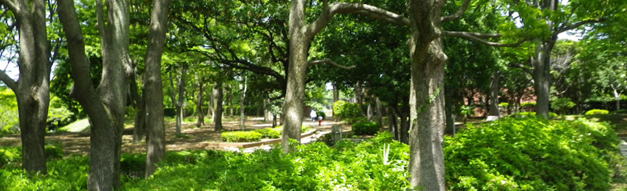 Negishi Station - Negishi Forest Park - Yamate Station, Kanagawa, Japan ...