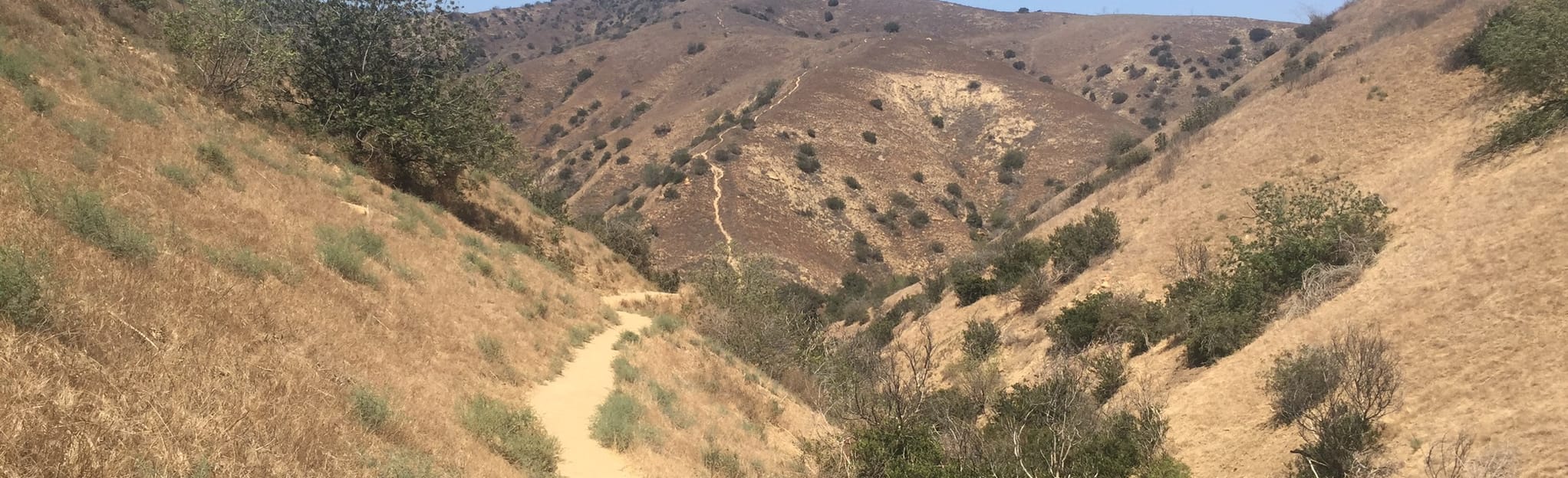 Little Canyon Loop, California - 465 Reviews, Map | AllTrails