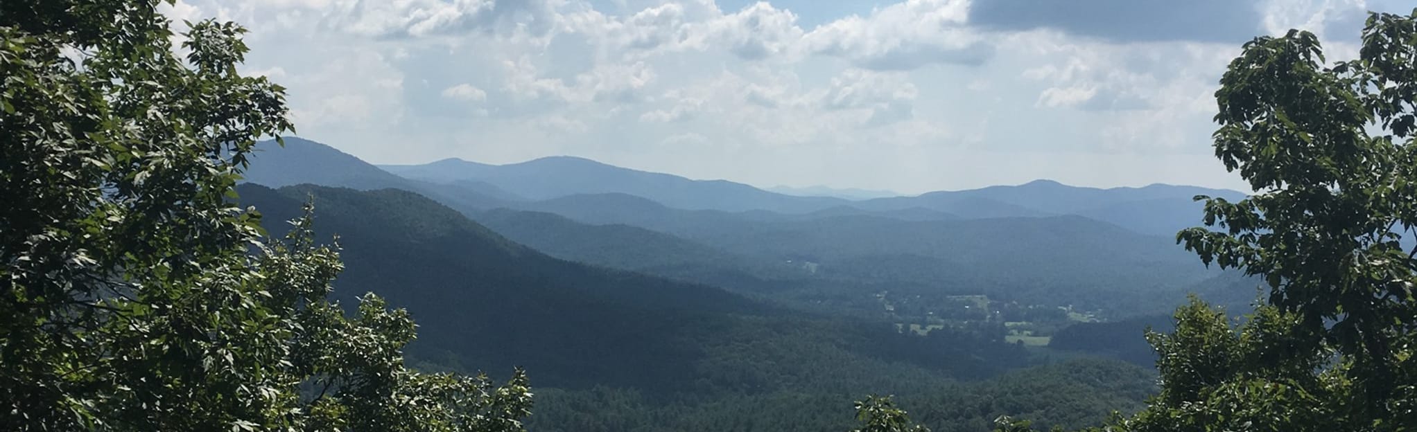 Duncan Ridge Trail, Georgia - 73 Reviews, Map | AllTrails