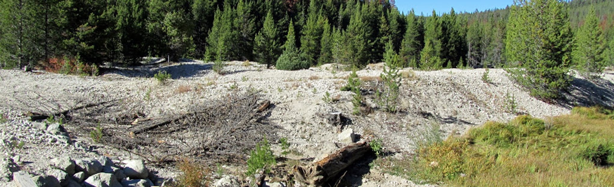 Burgdorf and Ruby Meadows OHV Trail, Idaho - Map, Guide | AllTrails