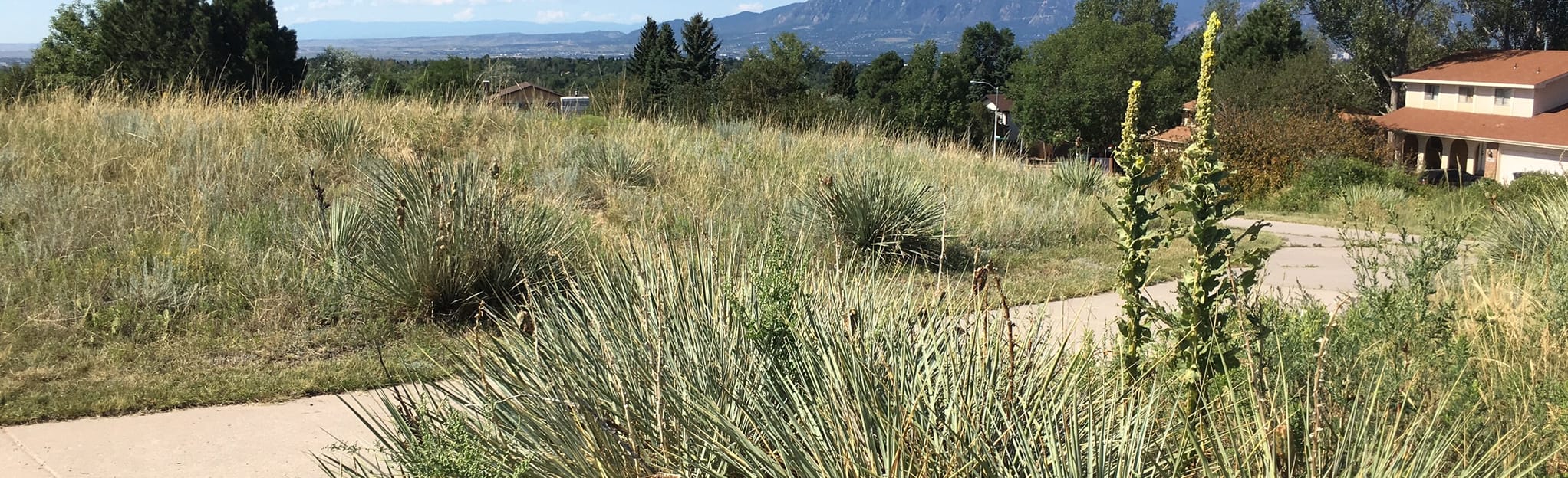 Homestead Trail , Colorado - 197 Reviews, Map | AllTrails