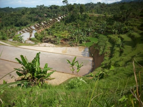 2023 Best 10 Trails and Hikes in Sukabumi | AllTrails