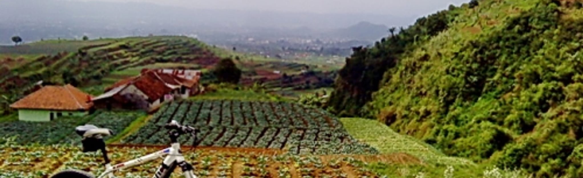 Cibodas - Gunung Putri, West Java, Indonesia - Map, Guide | AllTrails