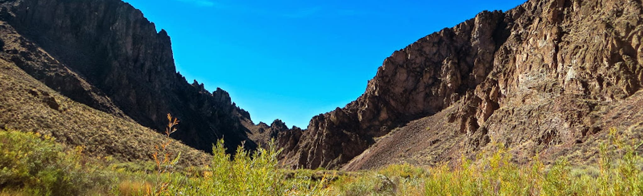 45 Ranch and Rock Corral OHV Trail: 1 Reviews, Map - Idaho | AllTrails