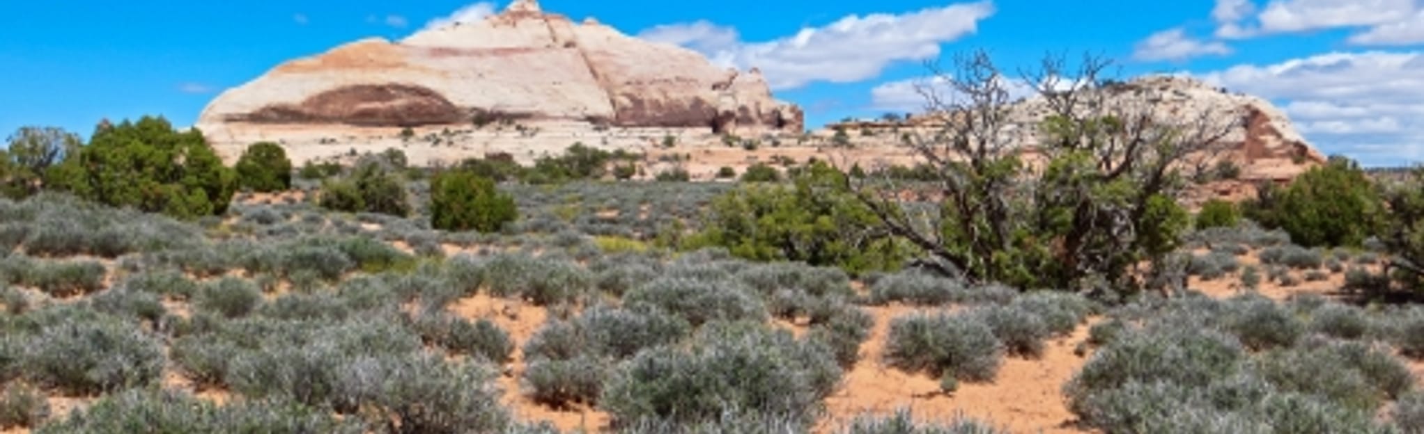 Beehive Butte, Zeus and Moses, and Mineral Bottom OHV Trail | Map ...