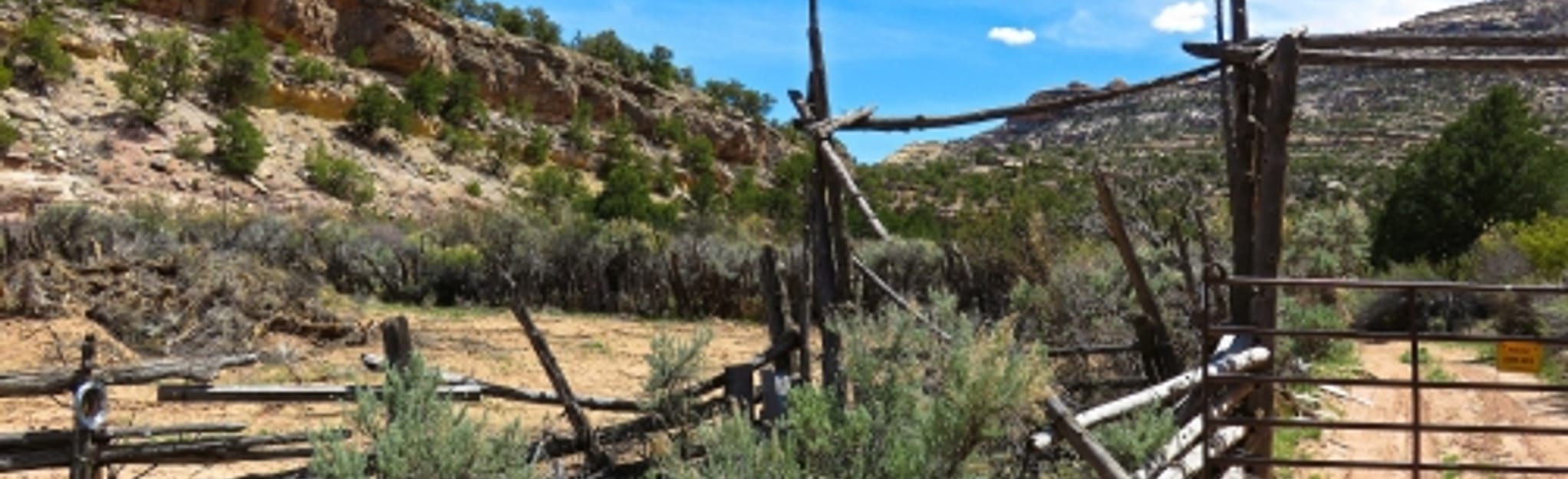 Beef Basin OHV Trail, Utah - Map, Guide | AllTrails