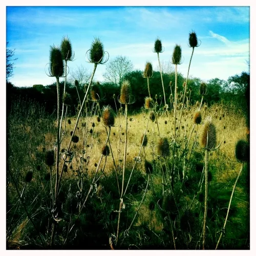 Best Hikes and Trails in Pages Wood | AllTrails