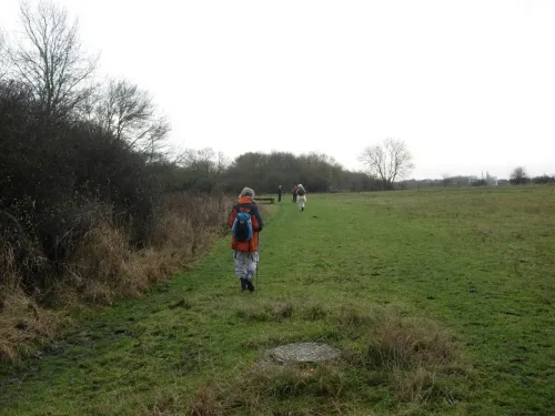 Best Hikes and Trails in Pages Wood | AllTrails