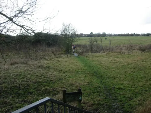 Best Hikes and Trails in Pages Wood | AllTrails