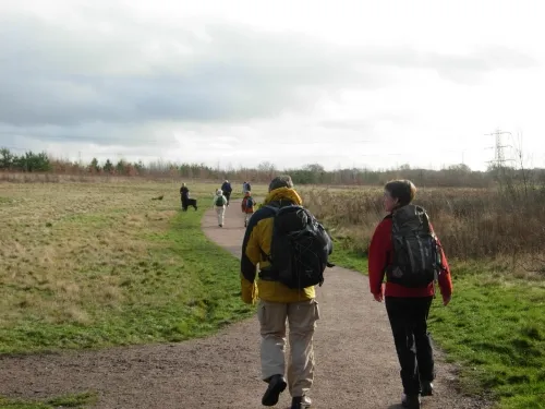 Best Hikes and Trails in Pages Wood | AllTrails