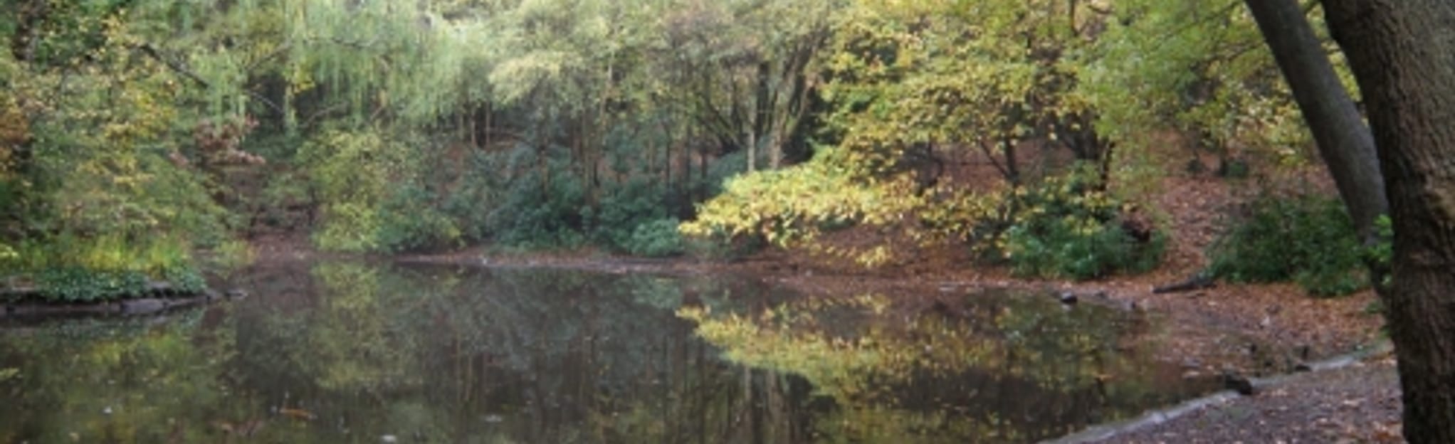 Lesnes Abbey Woods Circular: 17 Reviews, 24 Photos, Map - London ...