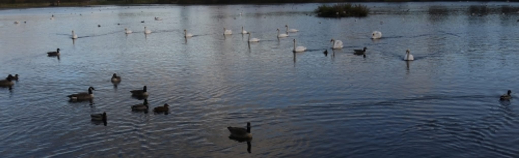 Witton Lakes via Bleak Hill, West Midlands, England - 15 Reviews, Map ...