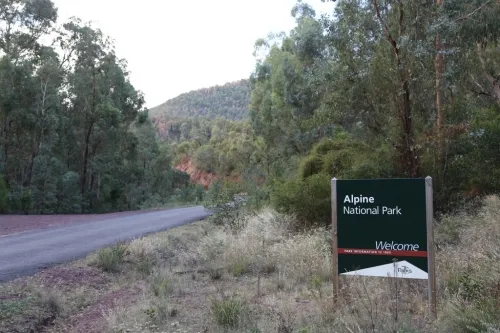 Best Hikes and Trails in Licola | AllTrails