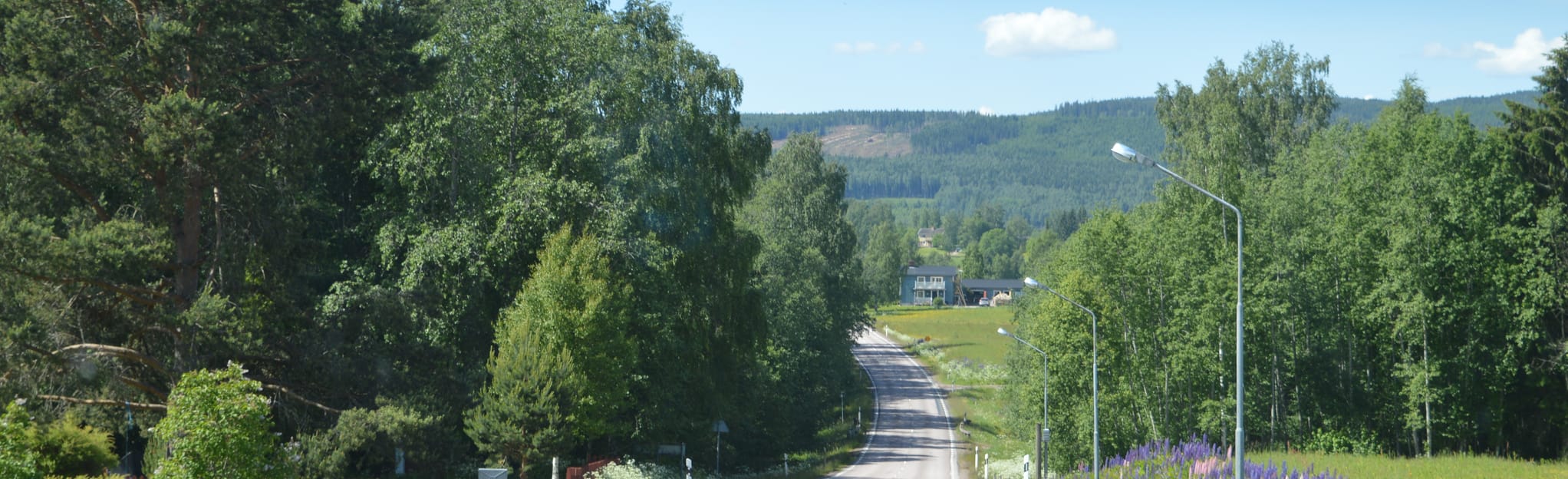 Bynäset - Glaskogens Camping, Värmland, Sweden - Map, Guide | AllTrails