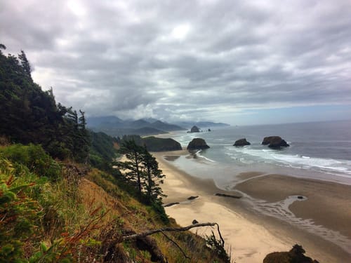 Best Hikes and Trails in Ecola State Park | AllTrails