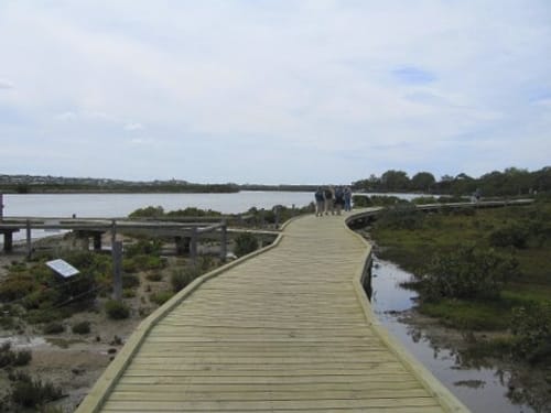 Best Hikes and Trails in Lake Connewarre Wildlife Reserve | AllTrails