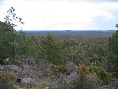 Best Hikes and Trails in Black Range State Park | AllTrails