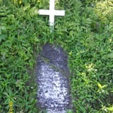 Martin Head, New Brunswick, Canada - 17 Reviews, Map | AllTrails